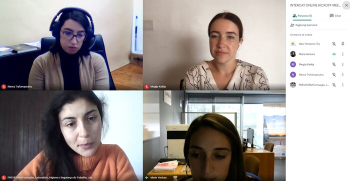 1st Online Project Meeting :: PREVIFORM-Laboratório, Formação, Higiene ...
