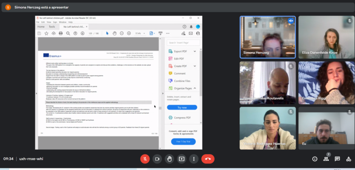 4th Online Project Meeting :: PREVIFORM-Laboratório, Formação, Higiene ...